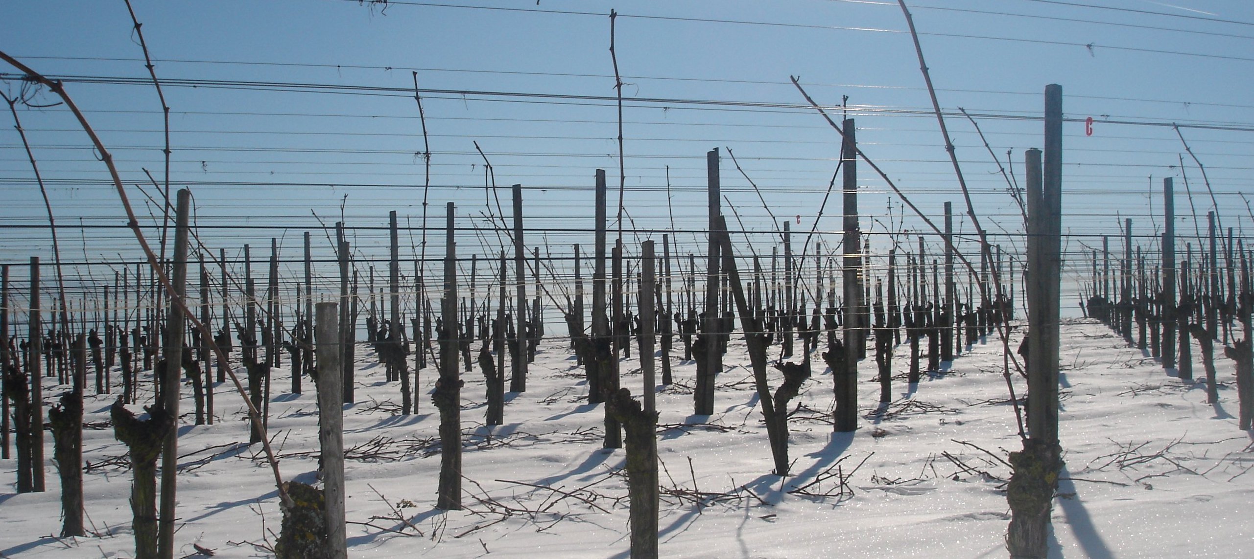 Startseite | Gemeinde Merdingen